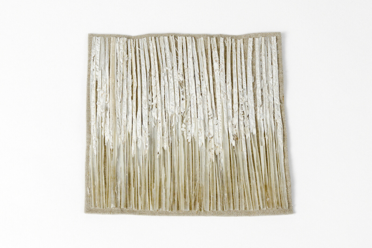 Polish Fiber at RAM - Racine Art Museum