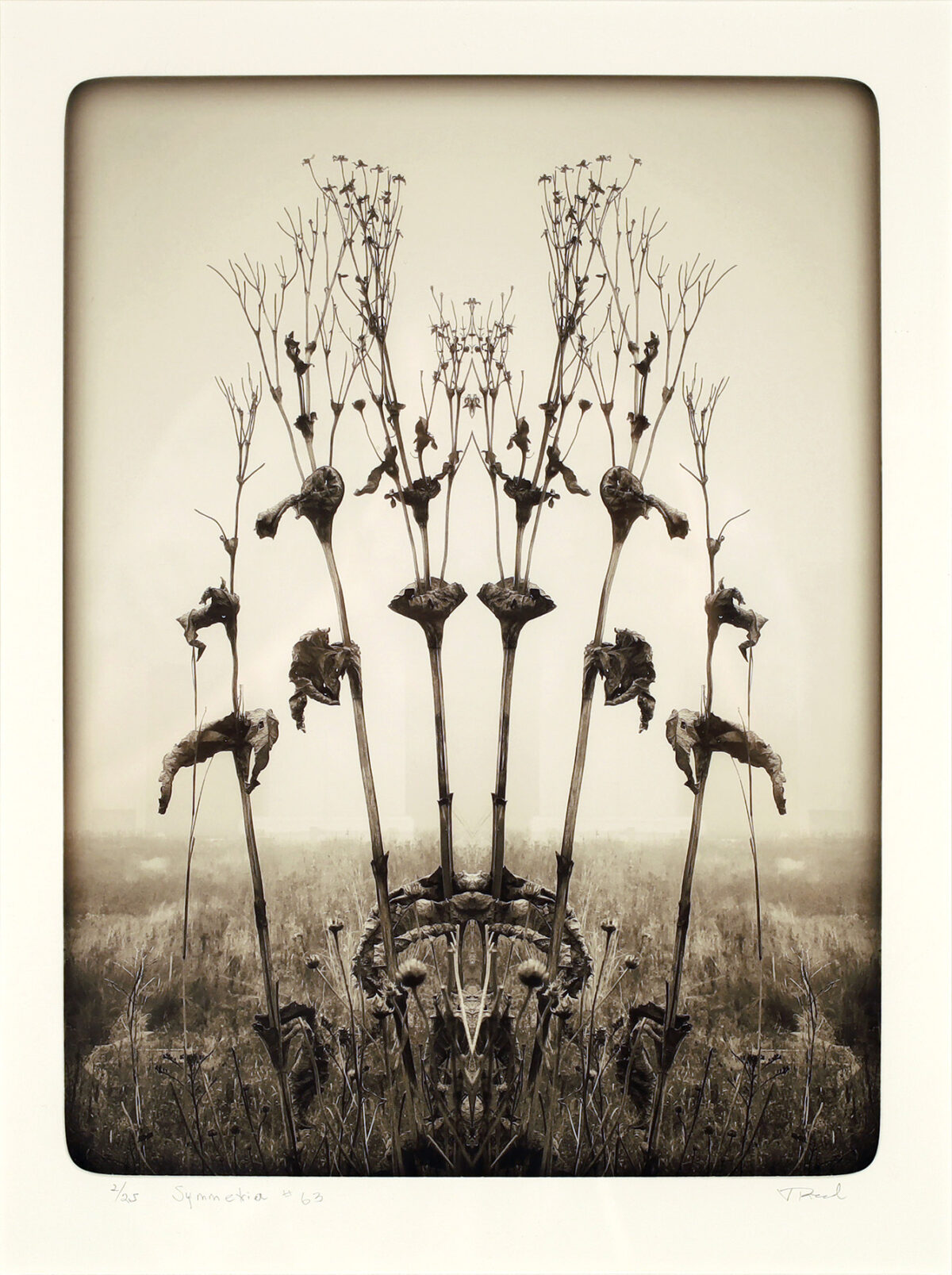 Racine and Vicinity Show 2024: All Media Juried Exhibition - Racine Art ...