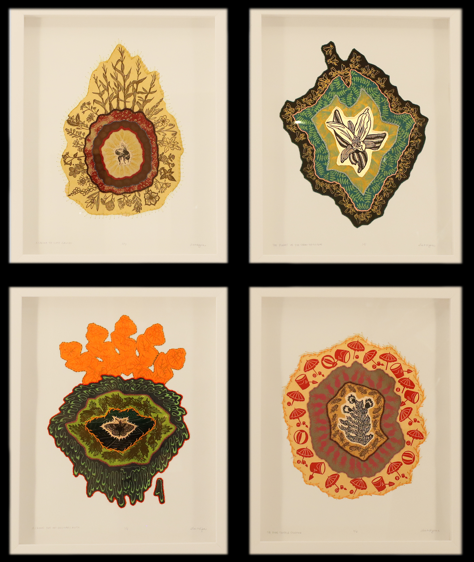 Extinct Animal Series - Racine Art Museum